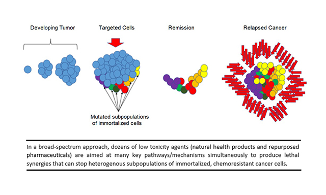 Cancer Drug Resistance