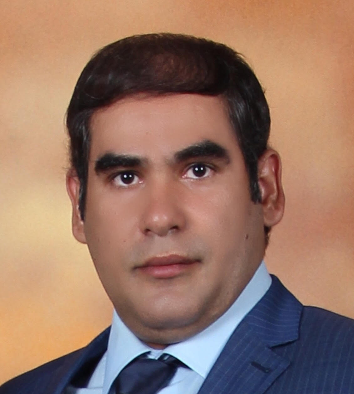 Amin Beiranvand Pour - Minerals and Mineral Materials - OAE Publishing Inc.